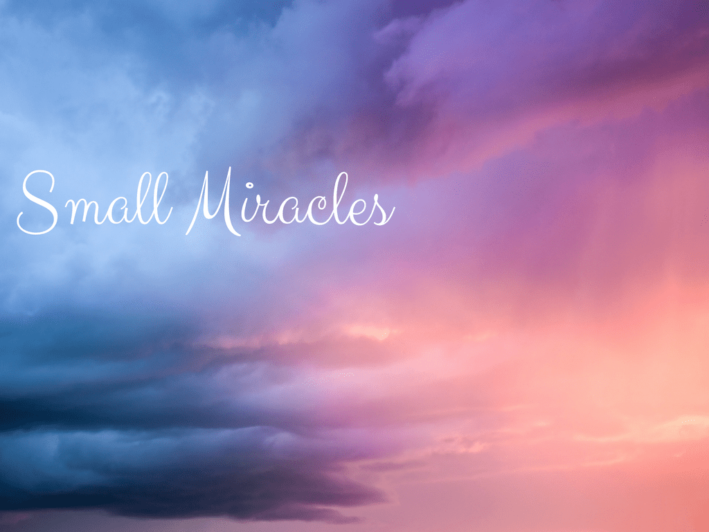 Small Miracles – God of the Sparrow 🌱 By Kathy Manis Findley