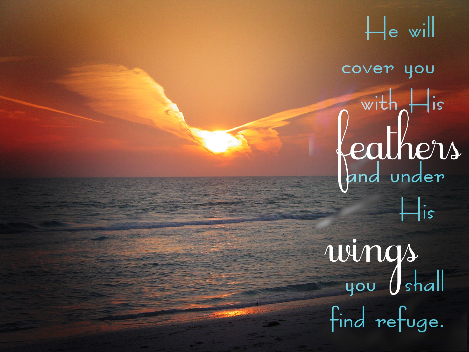 Under the Shadow of God’s Wings – God of the Sparrow 🌱 By Kathy Manis ...