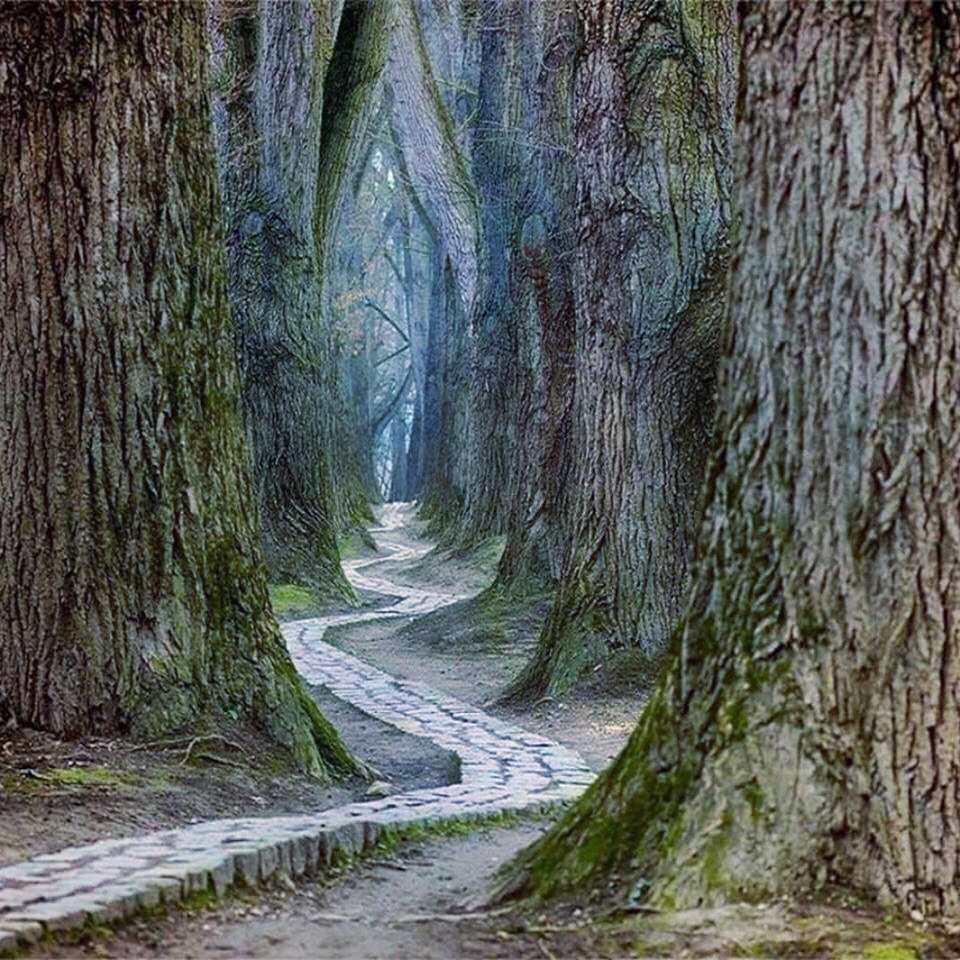 A Winding Path – God of the Sparrow 🌱 By Kathy Manis Findley