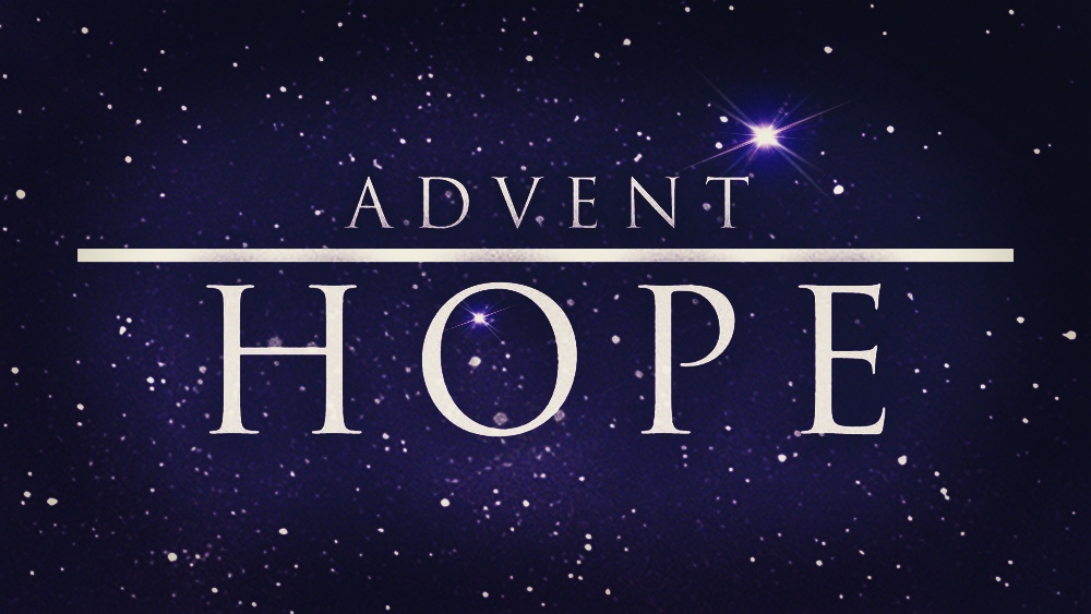 A Contemplative Advent ~ Hope – God of the Sparrow 🌱 By Kathy Manis Findley